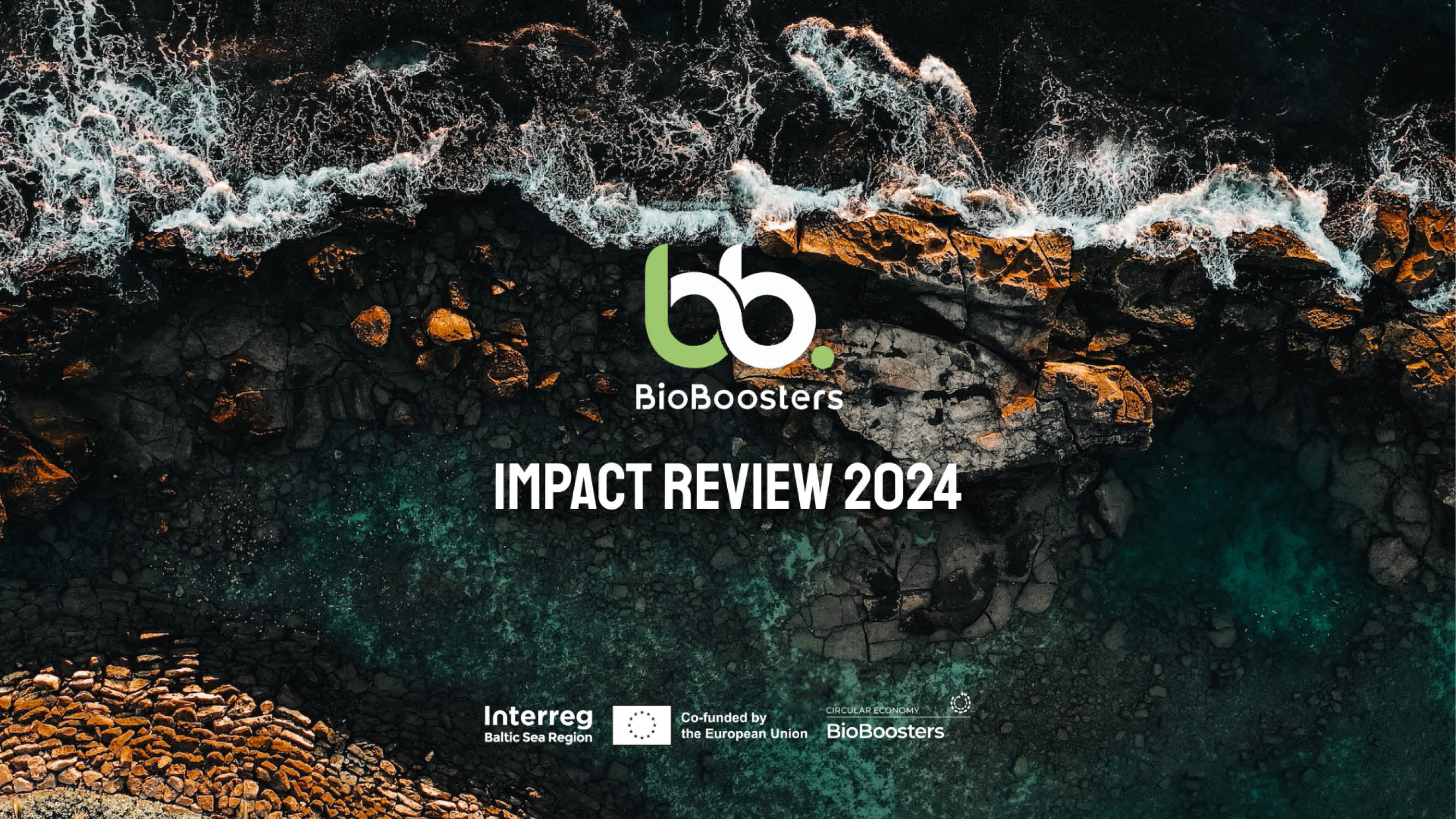 Impact Review 2024 Highlights BioBoosters Hackathons Success Stories | Jamk